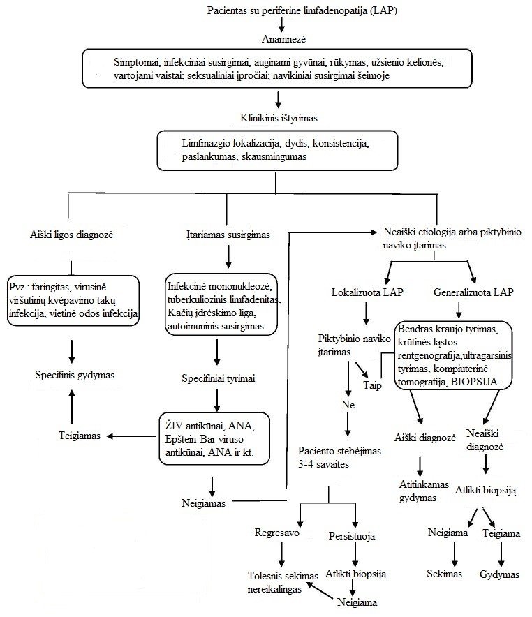 Periferinė limfadenopatija: etiologija, simptomai, diagnostikos ...